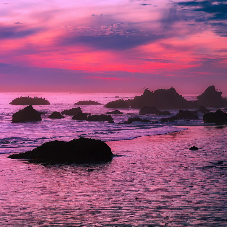 Create A Painted Letter Logo with GIMP – Logos By Nick