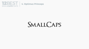 optimus-princeps – Logos By Nick