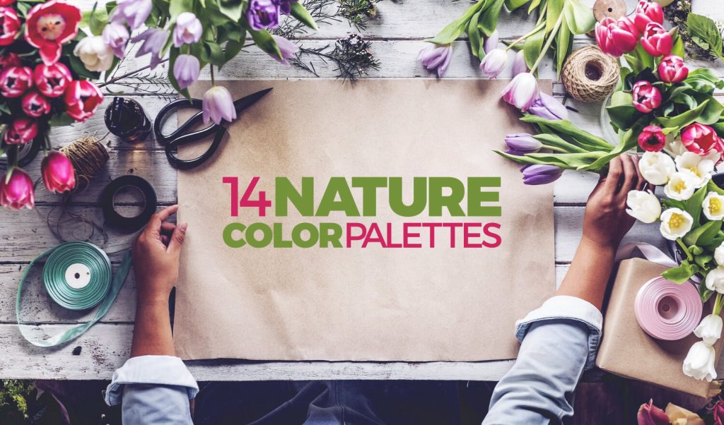 14 Nature Color Palettes With HEX Codes Design Inspiration