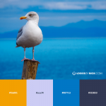 14 Nature Color Palettes with HEX Codes – Logos By Nick