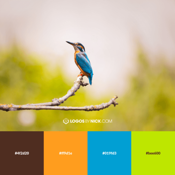 14 Nature Color Palettes with HEX Codes – Logos By Nick