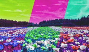 Color Channels in GIMP, Explained - Logos By Nick