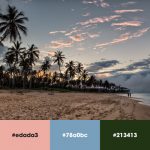 12 Beach Sunset Color Palettes with HEX Codes – Logos By Nick