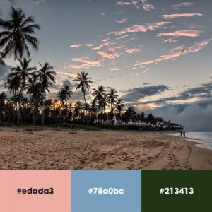 12 Beach Sunset Color Palettes with HEX Codes – Logos By Nick