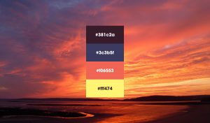 12 Beach Sunset Color Palettes with HEX Codes – Logos By Nick
