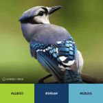 16 Color Palettes with Blue | HEX Codes Included