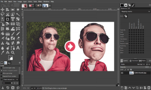 Inkscape vs GIMP: A Complete Comparison for New Users – Logos By Nick