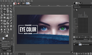 Inkscape vs GIMP: A Complete Comparison for New Users – Logos By Nick