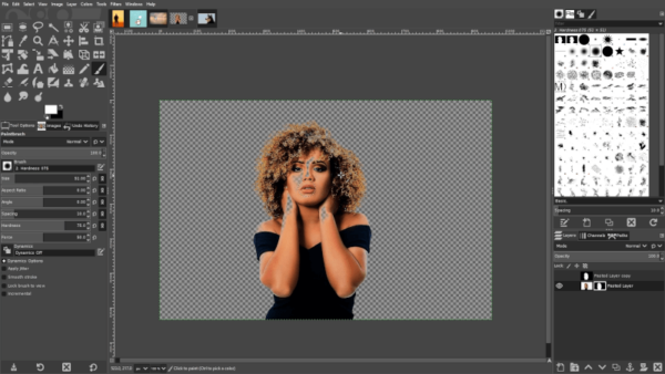 Inkscape vs GIMP: A Complete Comparison for New Users – Logos By Nick