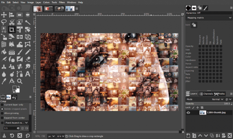 Inkscape vs GIMP: A Complete Comparison for New Users – Logos By Nick
