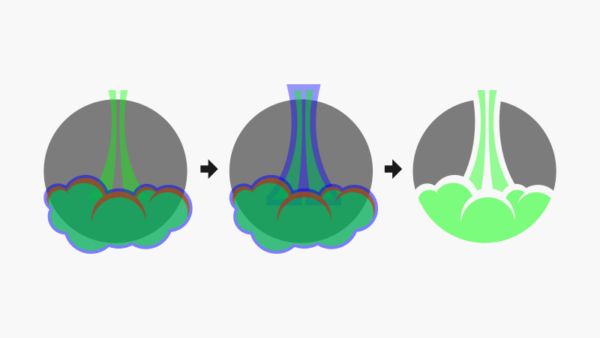 Create A Rocket Logo Design with Inkscape – Logos By Nick