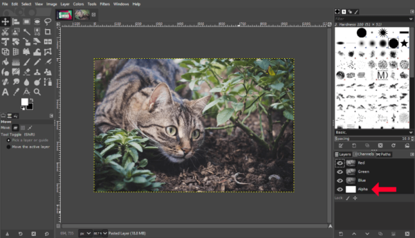 5 Common Mistakes New GIMP Users Make and How To Avoid Them – Logos By Nick
