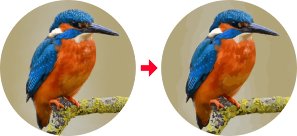 Vector Image Tracing with Affinity Designer | 3 Solutions – Logos By Nick