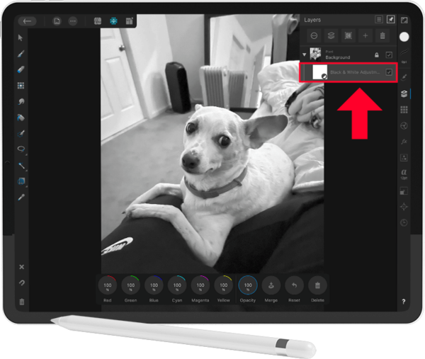 Affinity Designer VS Procreate: All Of The Differences Explained ...