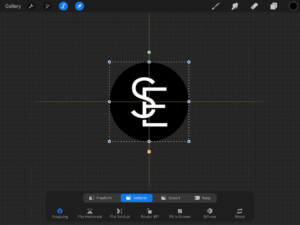 How To Design A Logo with Procreate – Logos By Nick