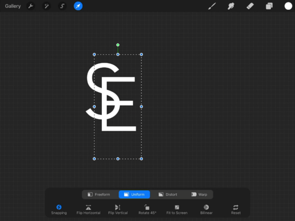 How To Design A Logo with Procreate – Logos By Nick