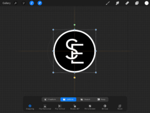 How To Design A Logo with Procreate – Logos By Nick