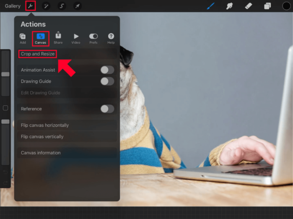 How To Resize An Image with Procreate & Why It’s A Hidden Feature ...
