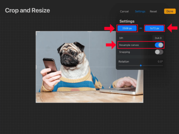 How To Resize An Image with Procreate & Why It’s A Hidden Feature ...