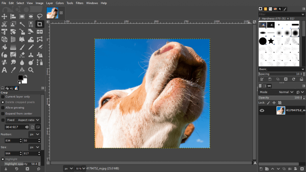 The Quickest Way To Crop An Image With GIMP – Logos By Nick
