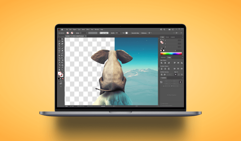 Erase Part Of An Image In Illustrator Beginner Tutorial