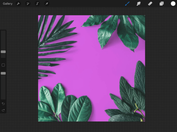 How To Color Fill In Procreate | Bucket Tool Workaround – Logos By Nick
