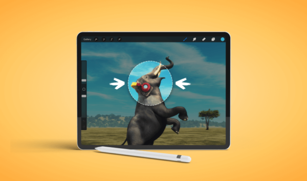 How To Duplicate In Procreate Layers Objects And Selections Logos By Nick