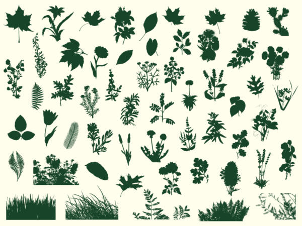 50+ Vector Leaves, Grass & Shrubbery 🌿 – Logos By Nick